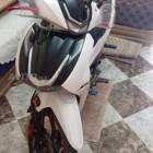 Daytona Sh - 98 Motos d'occasion daytona sh - Cari Motos