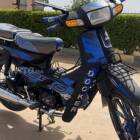 Docker C50 - 183 Motos d'occasion docker c50 - Cari Motos